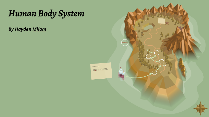 Human Body System by Hayden Milam on Prezi