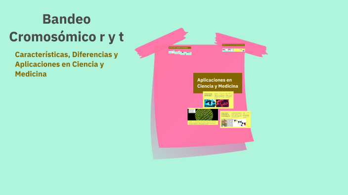 Bandeo Cromosómico R y T by Ana Arrayás Batanero on Prezi