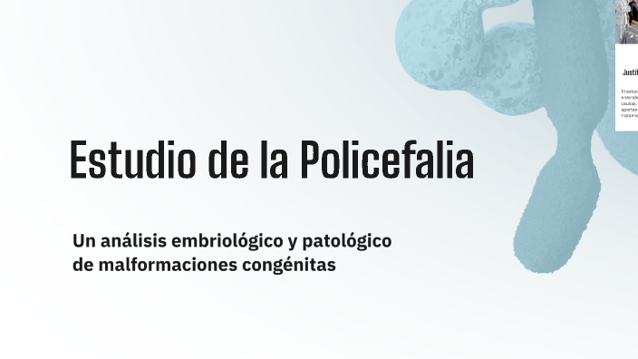 Malformaciones Congénitas: La Policefalia by jarlet rivero on Prezi