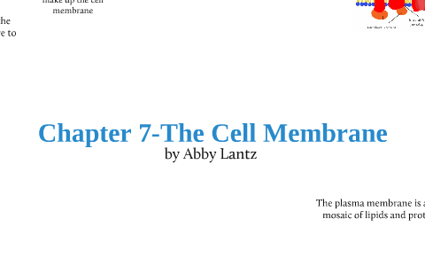 Chapter 7-The Cell Membrane by Abby Lantz on Prezi
