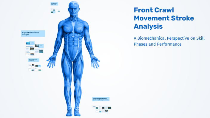 Front Crawl Movement Stroke Analysis by Aaron Siitam on Prezi