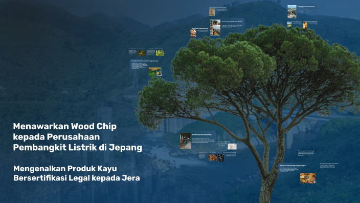 Menawarkan Wood Chip kepada Perusahaan Pembangkit Listrik di Jepang by ...