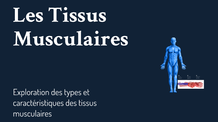Les Tissus du Corps Humain by Aslanim on Prezi