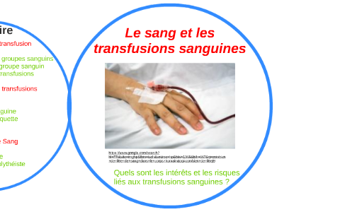 Le sang et les transfusions sanguines by Emmanuelle Marty on Prezi
