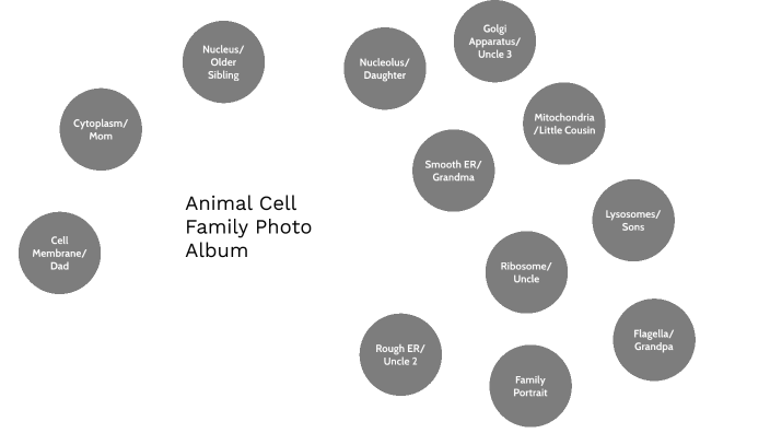 Animal Cell Photo Album by Nikolai Williams on Prezi