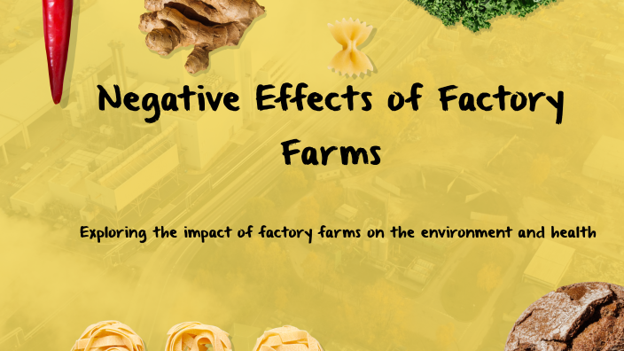 Negative Effects of Factory Farms by Marcos Dolores on Prezi