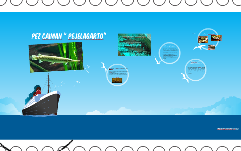 Pez Caiman " pejelagarto" by Raymundo Juarez on Prezi