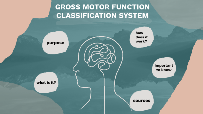 Gross Motor Function Classification System By Nina Werschmöller On Prezi