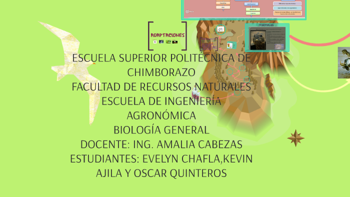 ORIGEN Y EVOLUCIÓN DE LOS REPTILES by Evii dixon on Prezi