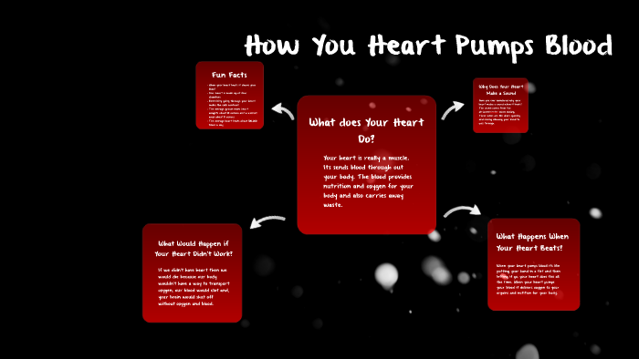How You Heart Pumps Blood by on Prezi