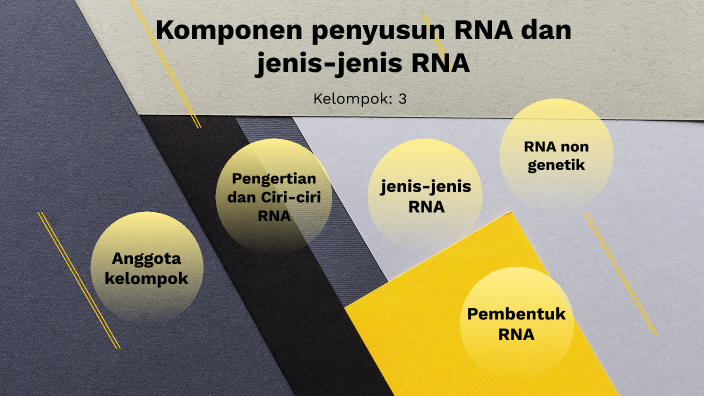 Komponen penyusun RNA dan Jenis-jenis RNA by ayuning kartika on Prezi