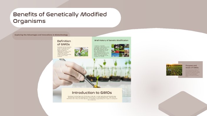 Benefits of Genetically Modified Organisms by Winwyn on Prezi