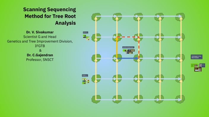 Scanning Sequencing Method for Tree Root Analysis by gajendran chellaiah on Prezi