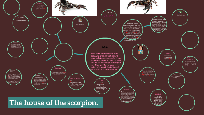 The house of the scorpion by lewis david on Prezi