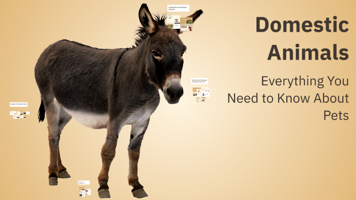 Domestic Animals by wendy leticia veloz malagon on Prezi