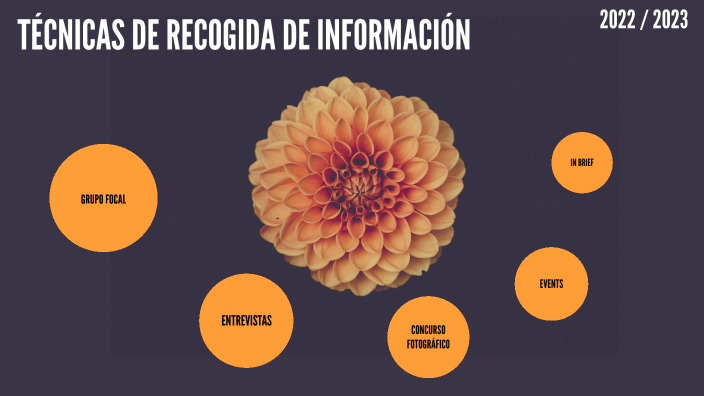 Técnicas de recogida de datos by Nadia de la Nava on Prezi