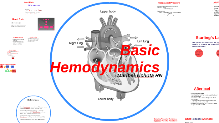 Basic Hemodynamics by Maribel Tichota on Prezi