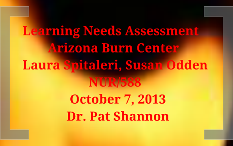 Learning Needs Assessment by Susan Odden on Prezi