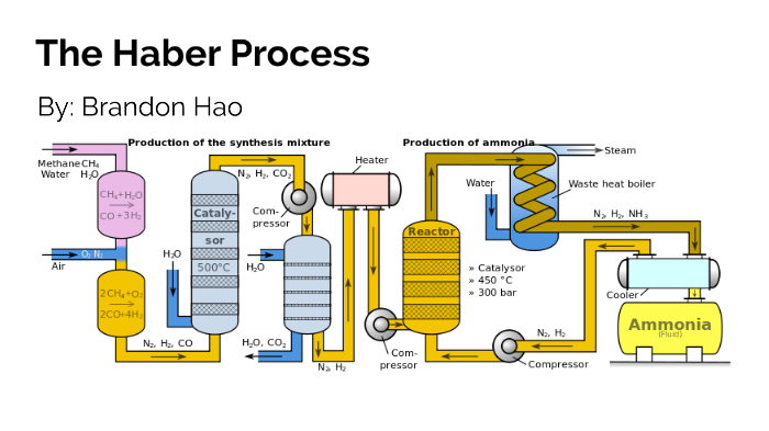 The Haber Process by Brandon Hao on Prezi