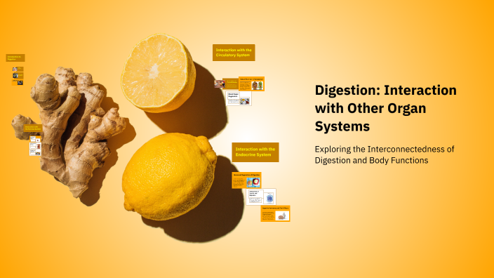 Digestion: Interaction with Other Organ Systems by Shiela mae Caisip on ...