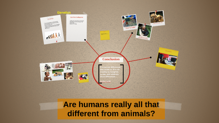 Are humans really all that different from animals? by Ghistla Williams ...