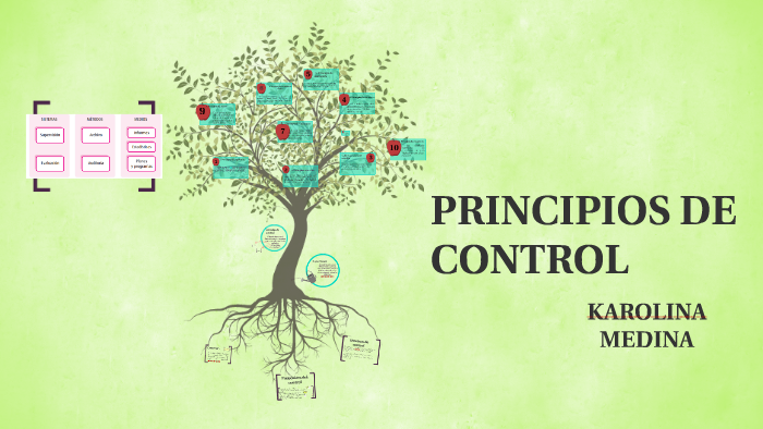 PRINCIPIOS DE CONTROL by Karolina Medina on Prezi