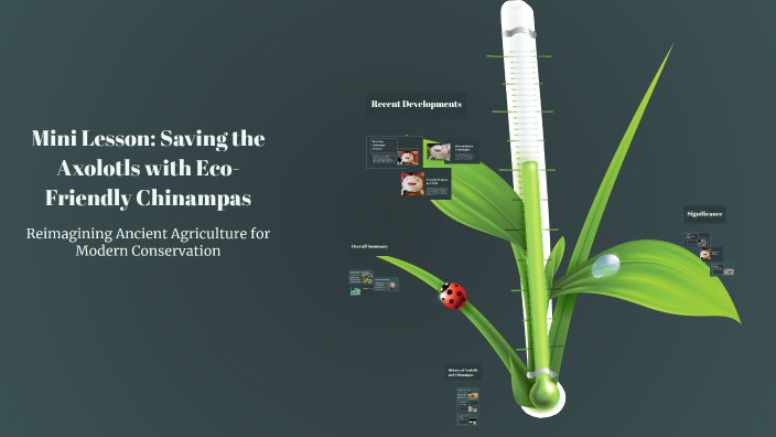 Mini Lesson: Saving the Axolotls with Eco-Friendly Chinampas by ...