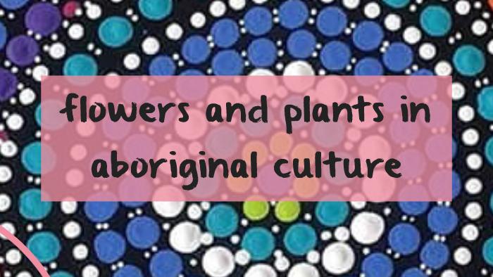 flowers and plants in aboriginal culture by francesca colwill on Prezi