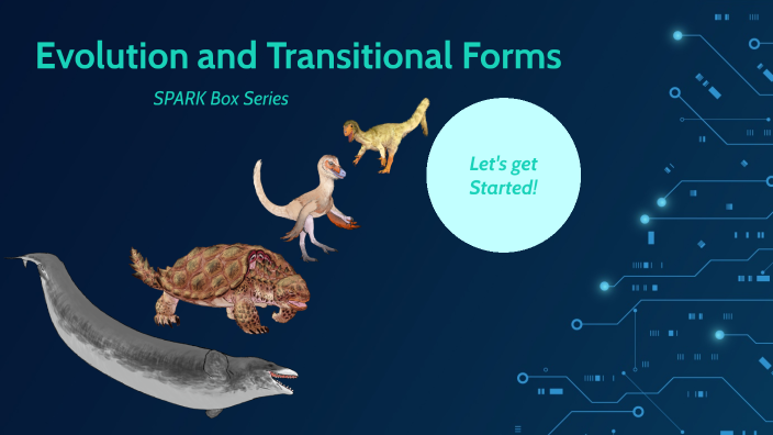 Evolution and Transitional Forms by Ryan Dewey on Prezi