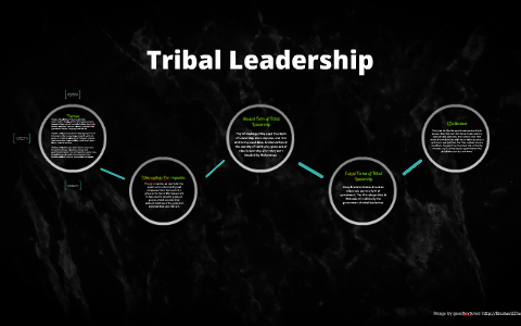 Tribal Leadership by on Prezi