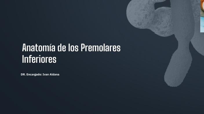 Anatomía de los Premolares Inferiores by Mauricio Adrian Burgos Nuñez ...