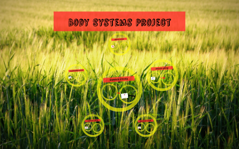 Body System science project by Ashley Lambers on Prezi