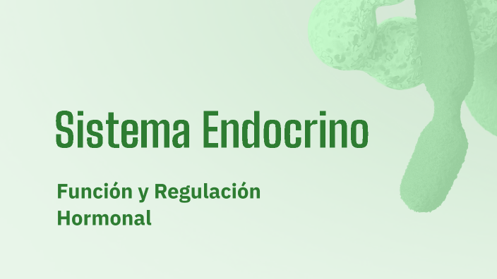 Sistema Endocrino by DUVAN RICARDO FORERO PACHON on Prezi