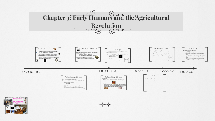 Chapter 3 Early Humans and the Agricultural Revoluation by Rachel McGee ...