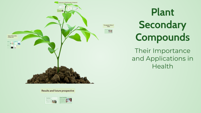 Types of Plant Secondary Compounds by H V on Prezi