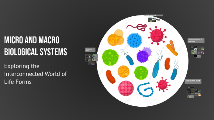 Micro and Macro Biological Systems by Osmin Reyes on Prezi