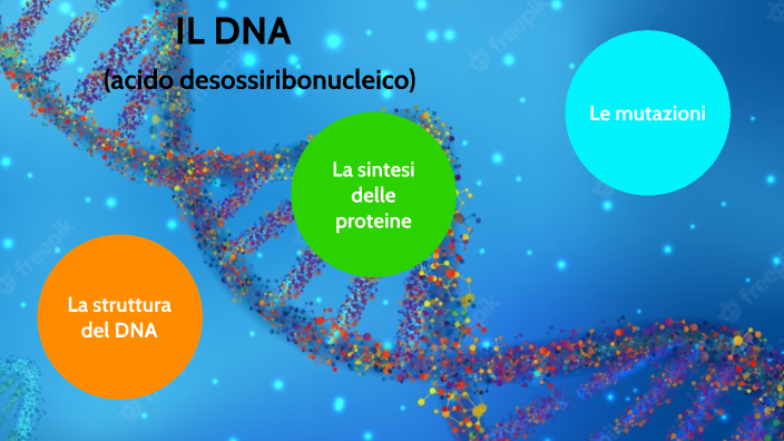 DNA by Filomena Nacchia on Prezi