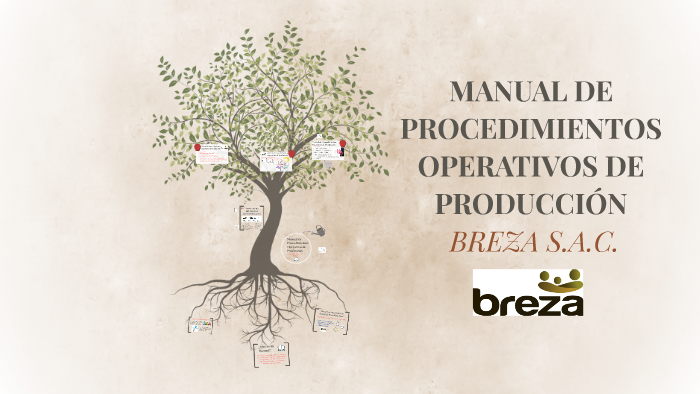 MANUAL DE PROCESOS OPERATIVOS DE PRODUCCIÓN by Allison Brac A on Prezi