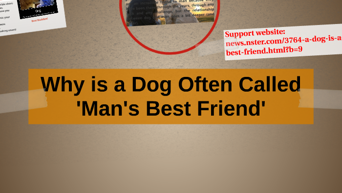 Why is a Dog Often Called 'Man's Best Friend' by LEE SHER RYNN on Prezi