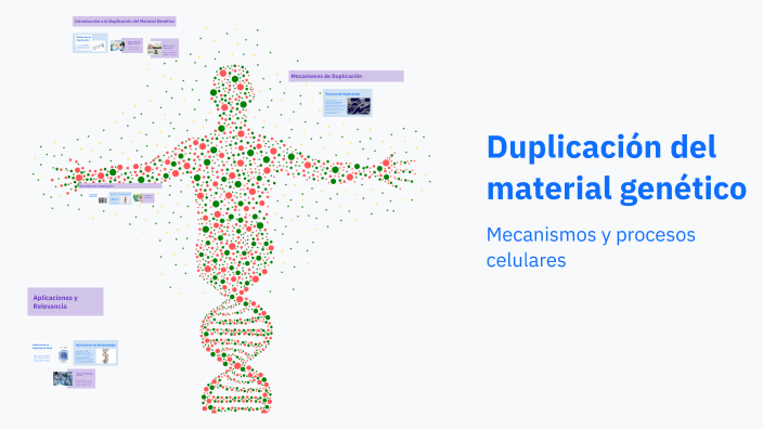 Duplicación del material genético by Alex Ayza González on Prezi