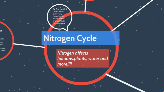 Nitrogen Cycle by sarah nitro on Prezi