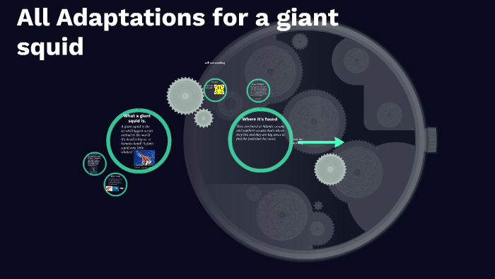 all adaptations for a giant squid by Kristine Protz on Prezi