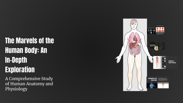 The Marvels of the Human Body: An In-Depth Exploration by No One on Prezi
