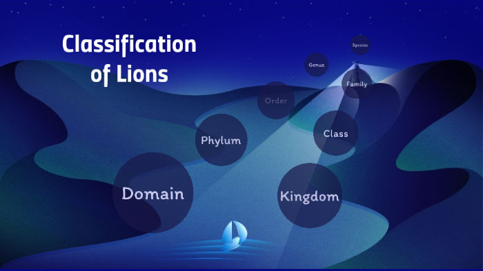 Classification of Lions - Biology H by Lara Witwick on Prezi