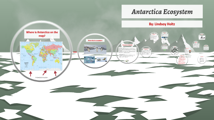 Antarctica Ecosystem by lindsay holtz on Prezi