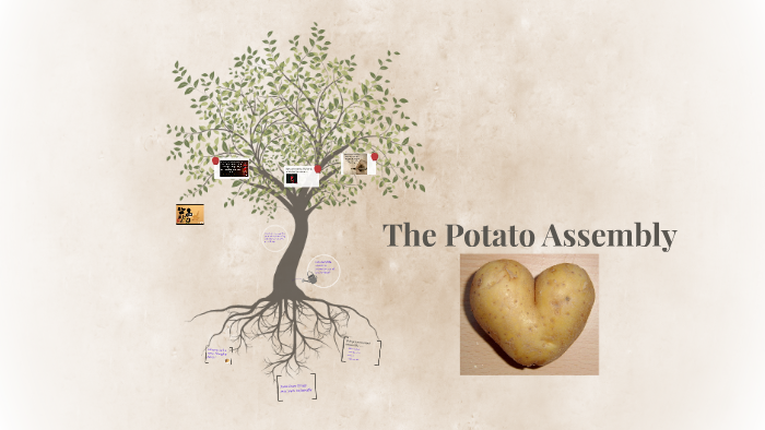 The Potato Assembly by Joe Crane on Prezi
