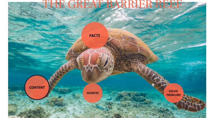 GREAT BARRIER REEF by Linnea Holt on Prezi