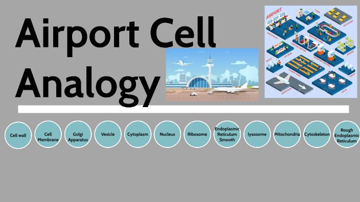 Airport Cell Analogy by (Student) Tatum Iler on Prezi