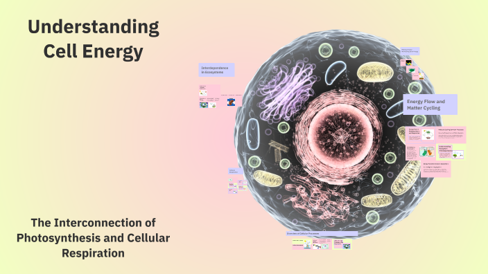 Cell Energy Project Assessment by Miya Wong on Prezi