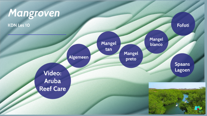 KDN les 3 Mangroven by Rho-Jeanne Bergen on Prezi